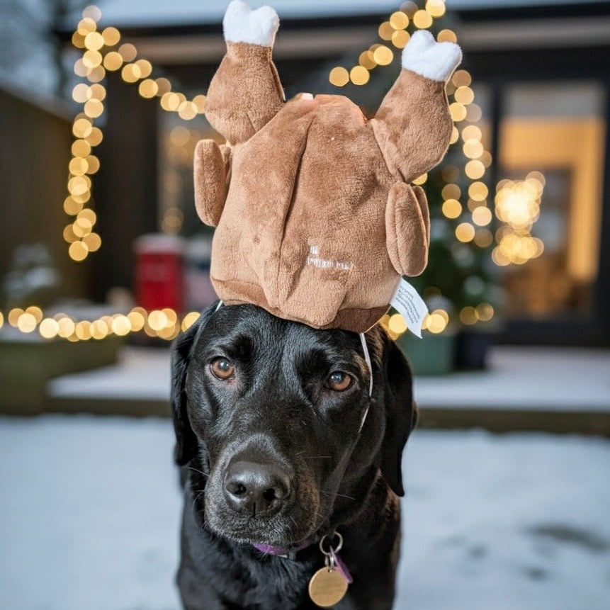 The Worthy Dog | Turkey Trot Hat – The Spoilt Doggo