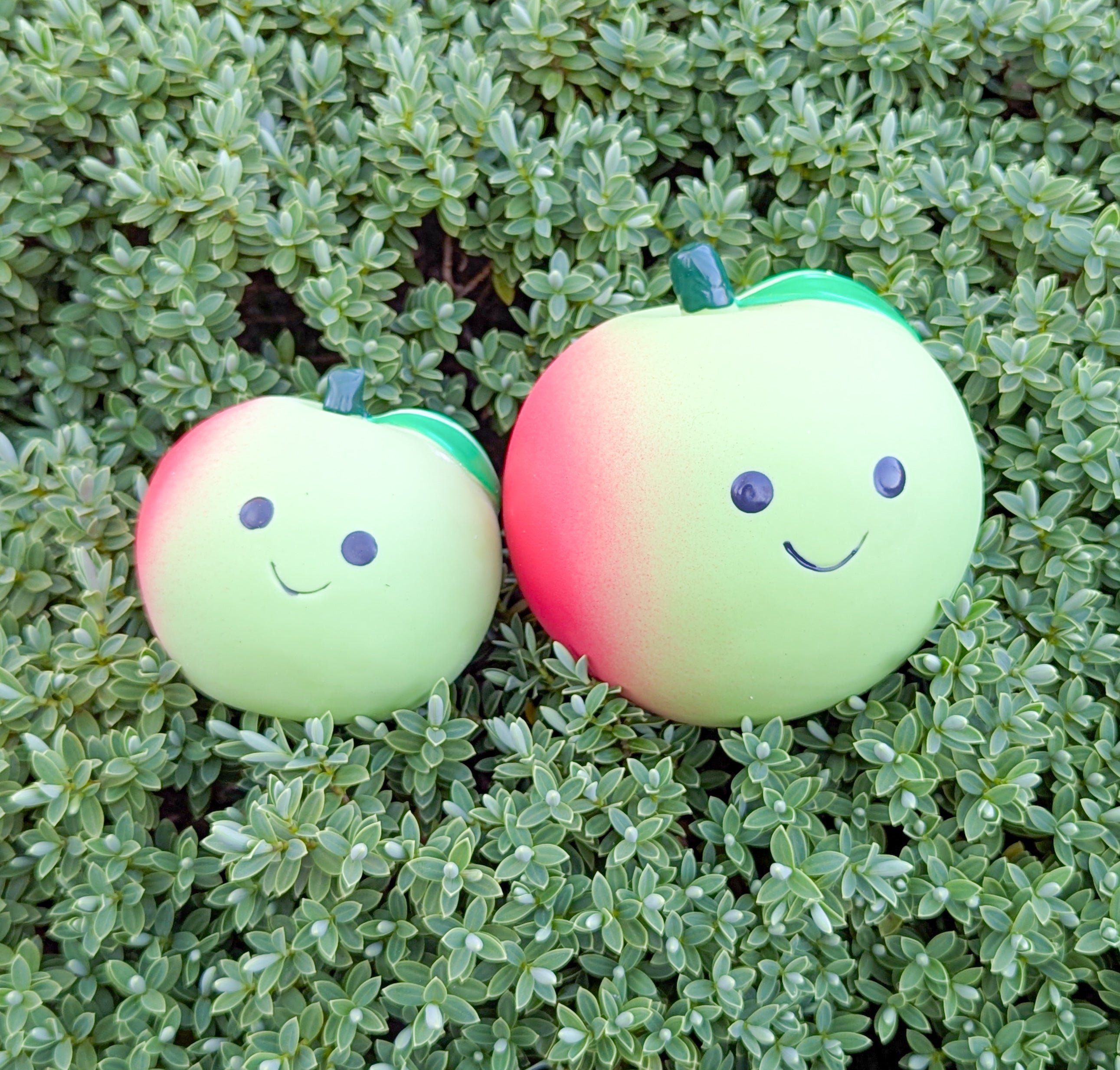 Foody Faces Latex Toy | Apple | 2 Sizes – The Spoilt Doggo