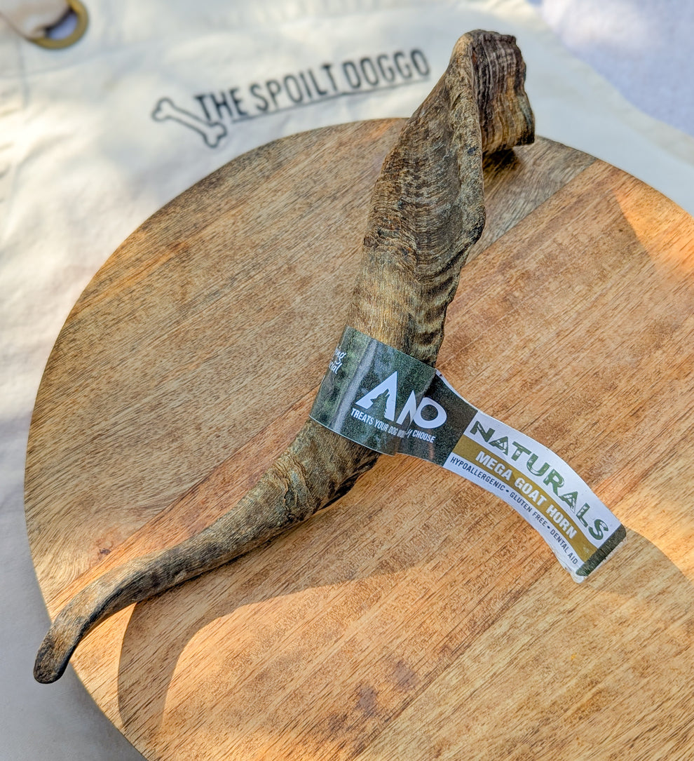 Anco Naturals Mega Goat Horn – The Spoilt Doggo